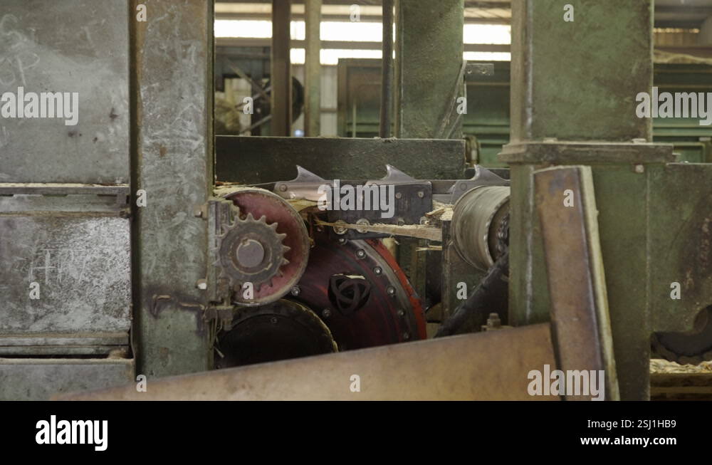 Aerial: Drone View Of Wood Logs Moving On Sharp Production Line In ...
