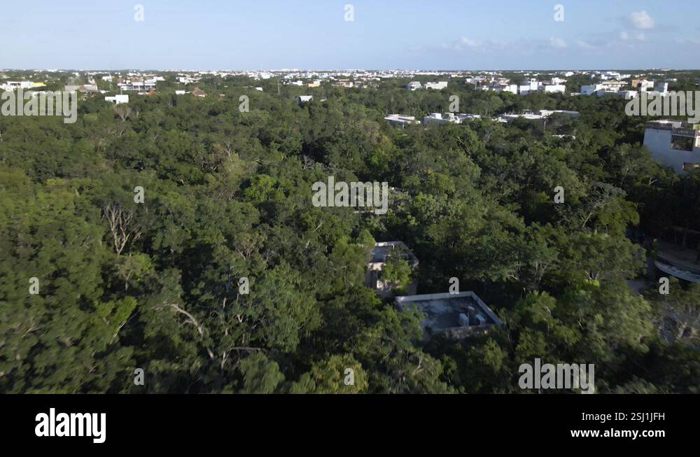Tulum, Mexico Jungle Trees and Houses in Summer - Aerial Tilt-up Stock ...