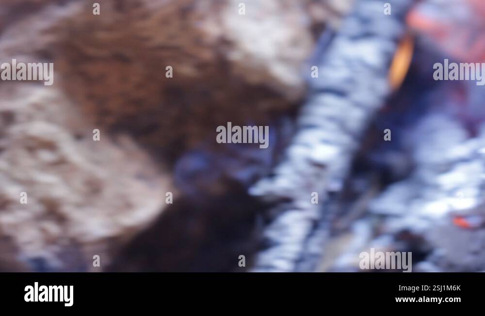 Camping Fireplace Fire flames burning outdoors campfire blaze campsite ...