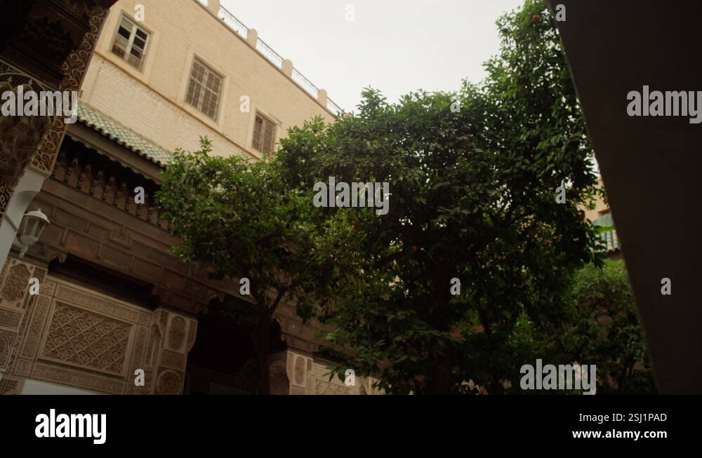 Tree in the backyard of a temple in Marrakech, Morocco Stock Video ...