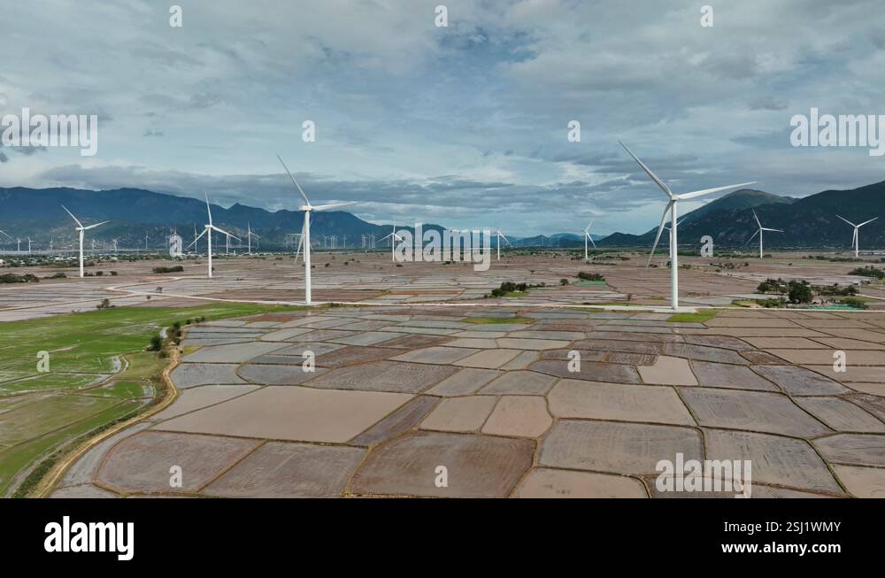 Drone view Dam Nai wind turbines farm on rice paddy field by Nai lagoon ...