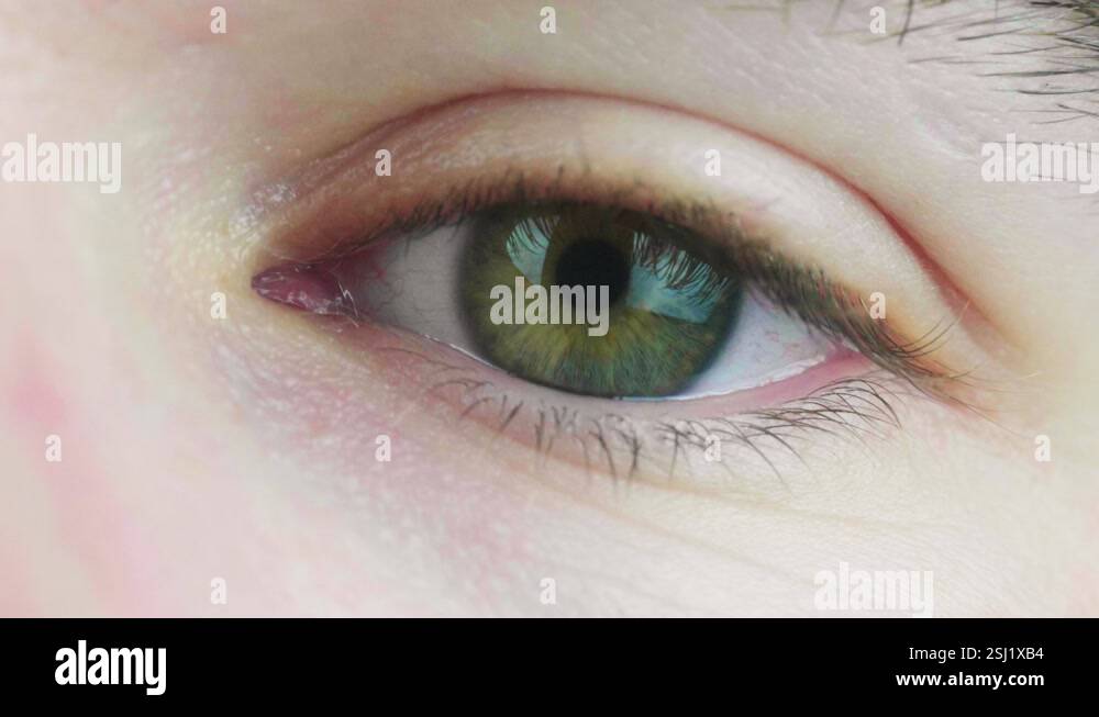 4K Cinematic slow motion macro shot of a green eye, with blue and brown ...
