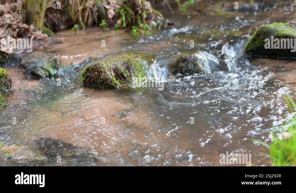 Close-up water flows through rocks in a river at the countryside ...