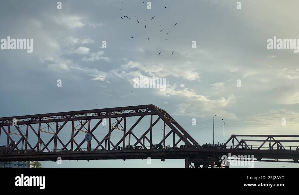 Hawks swarm above truss bridge as pedestrians and cars pass below Stock ...