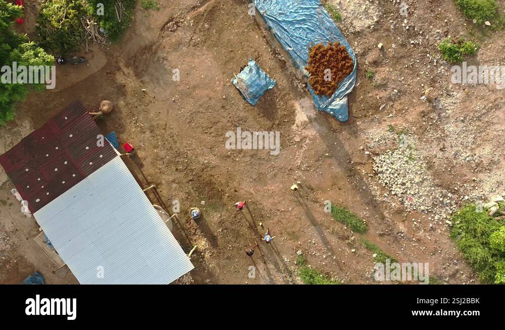 Aerial top down: Group of children playing with sticks on a filed ...