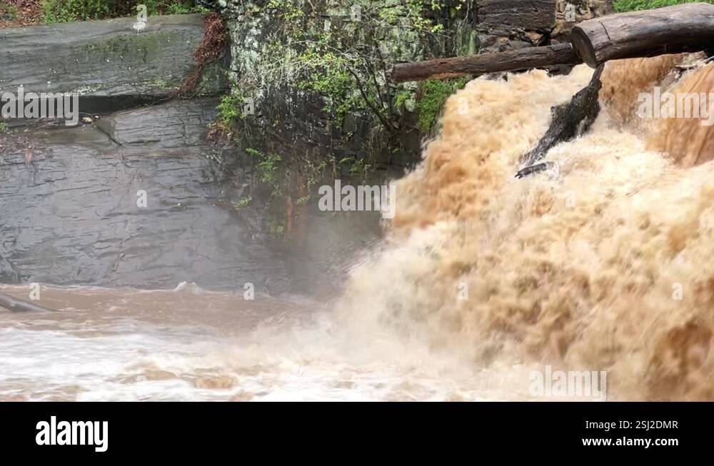 Flash flood waters rush past fallen log on a muddy river dam, 30fps ...