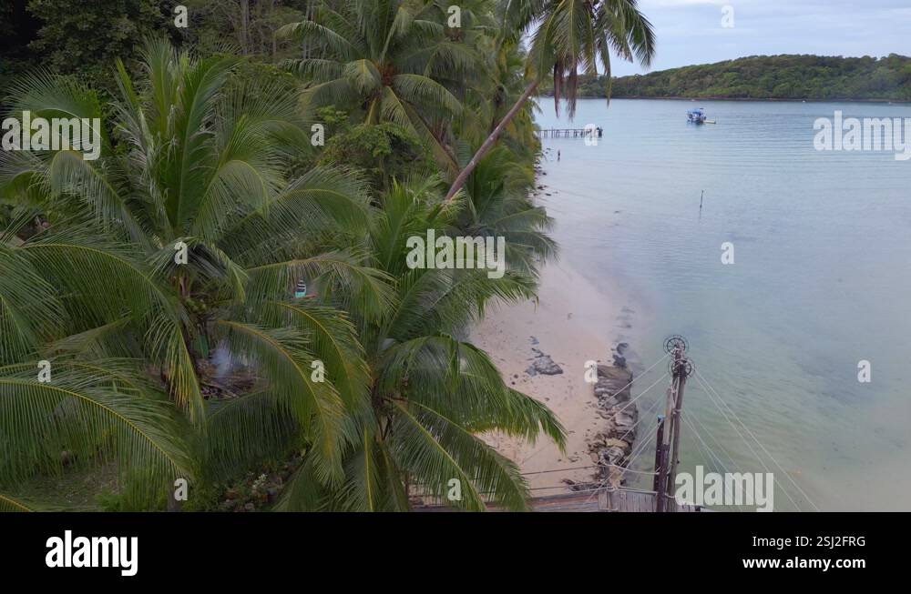 over palm trees drawbridge of bamboo on the beach. Best aerial view ...