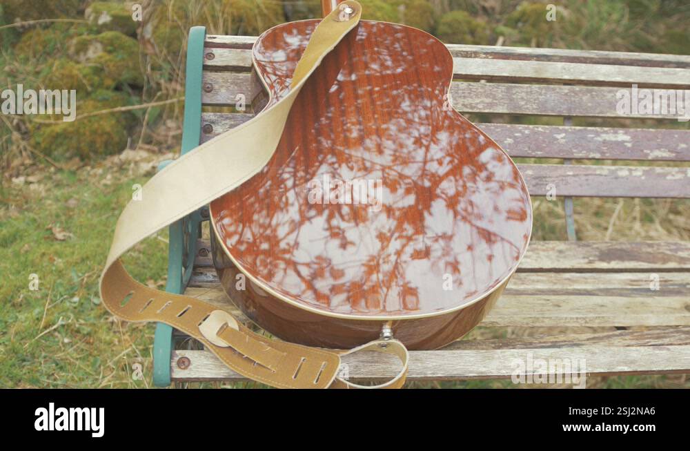 Spring tree blossom in glossy guitar reflection Tracking forward Stock ...