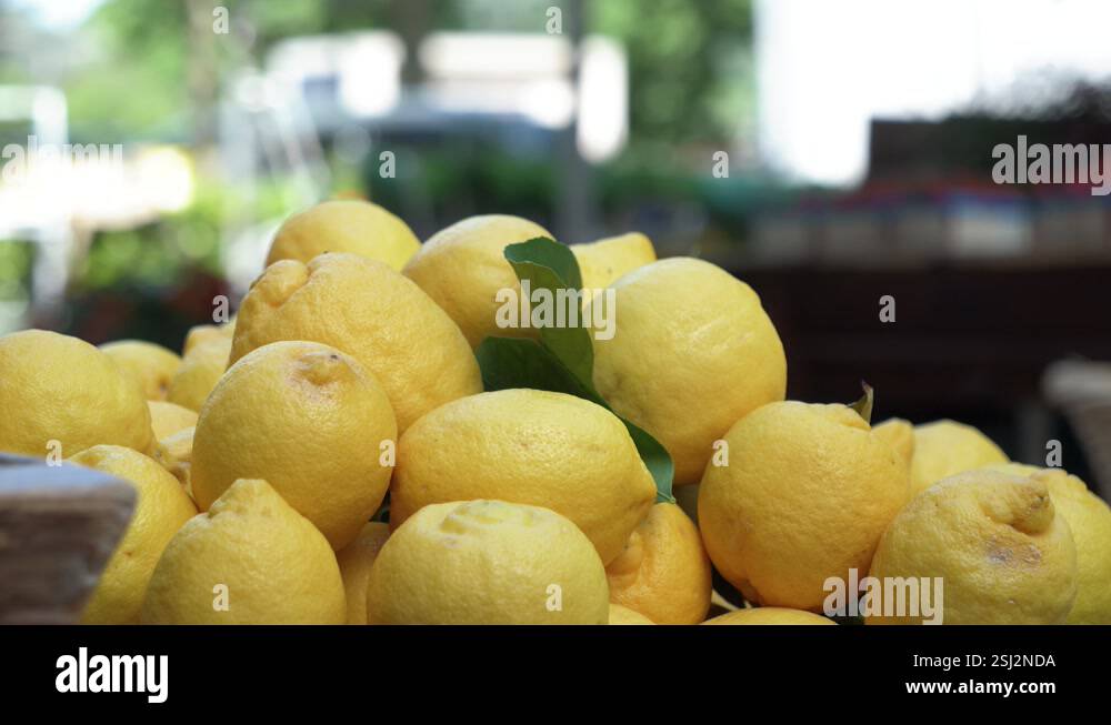 close-up of a lemon stall in an open-air market, two lemon leaves ...