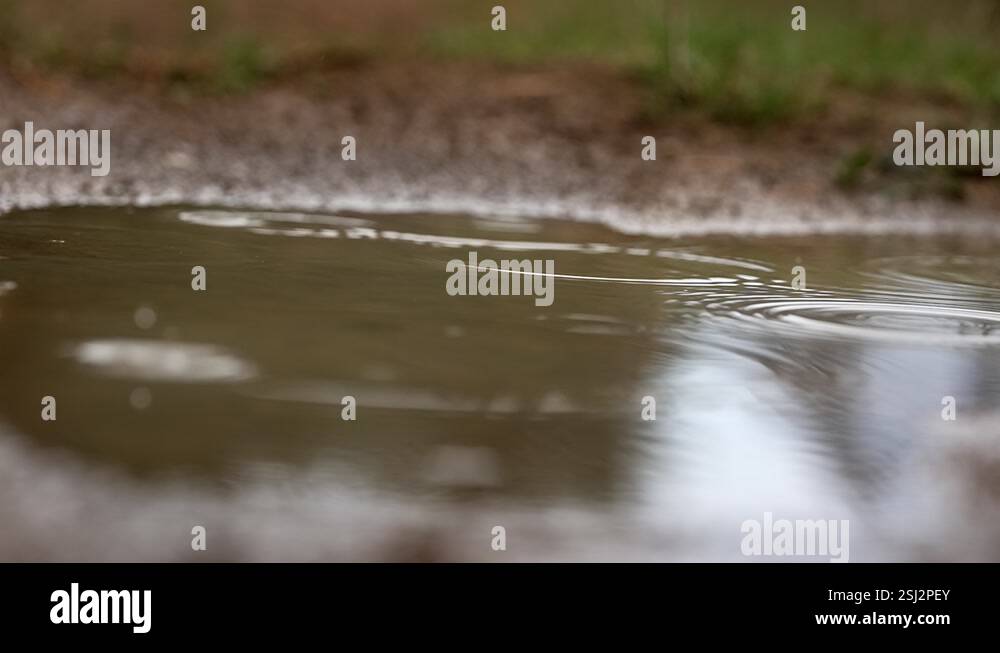 Raindrops falling into a puddle in forest on a path in super slow ...