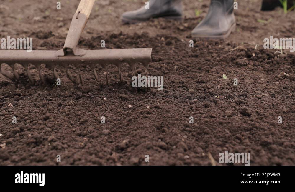 Rake work on ground close-up. Gardener works soil in home garden with ...