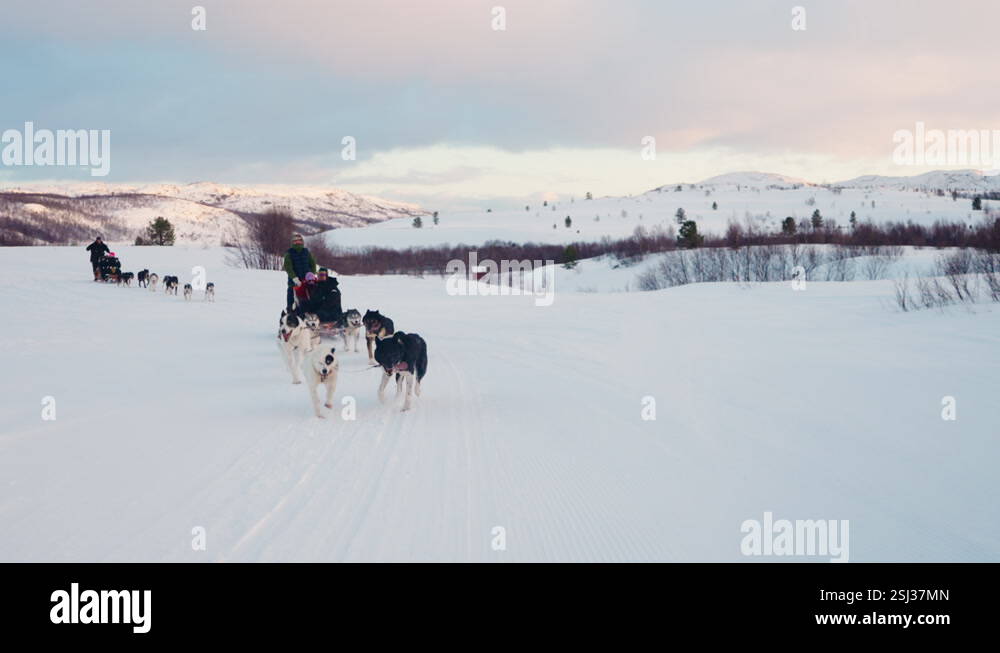 Two Husky Sled Dog teams Pulling a Sled through the Norwegian Snowy ...
