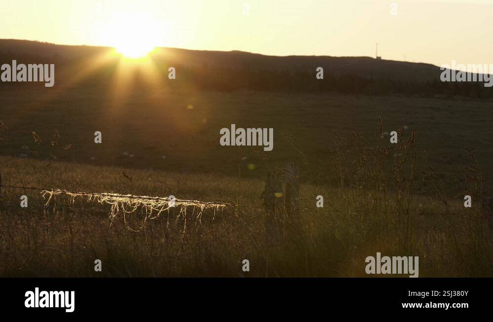 Golden hour shot of the sun rising over some crofting fields and ...
