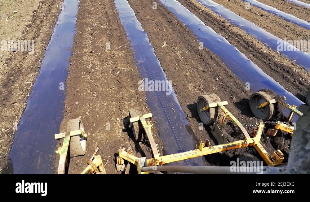 Tractor with Raised Bed Mulch Layer Attachment Working in a Field Stock ...
