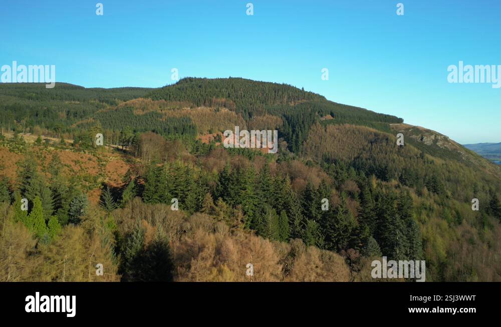 Flying over treetops of Whinlatter Forest in the English Lake District ...