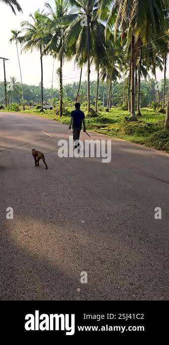 Chumphon Thailand 2 February 2025,, A person strolls peacefully down a ...