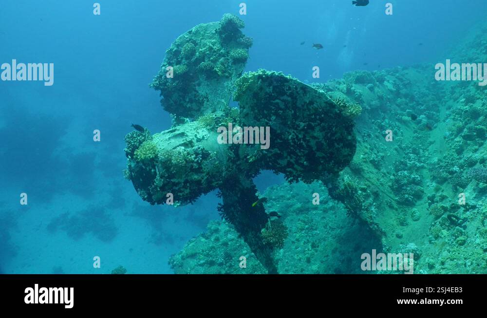 Propeller of ferry Salem Express shipwreck, Slow motion Stock Video ...