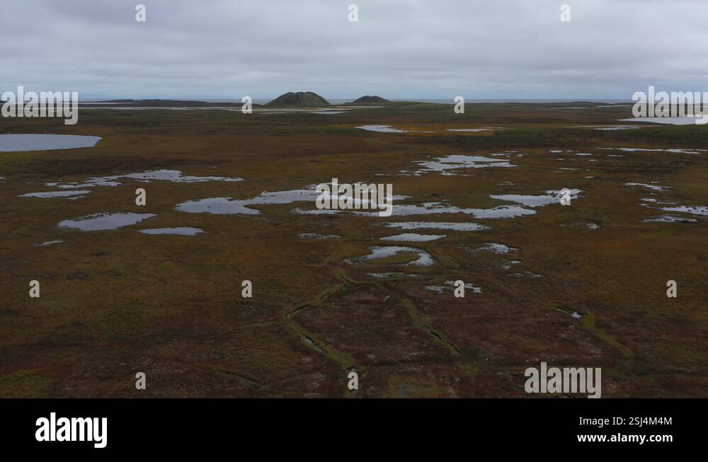 Canadian arctic permafrost Stock Videos & Footage - HD and 4K Video ...