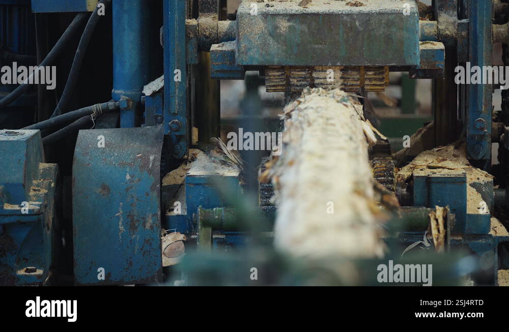 Industrial Timber Processing Equipment Grinds And Saws Log Into Wooden ...