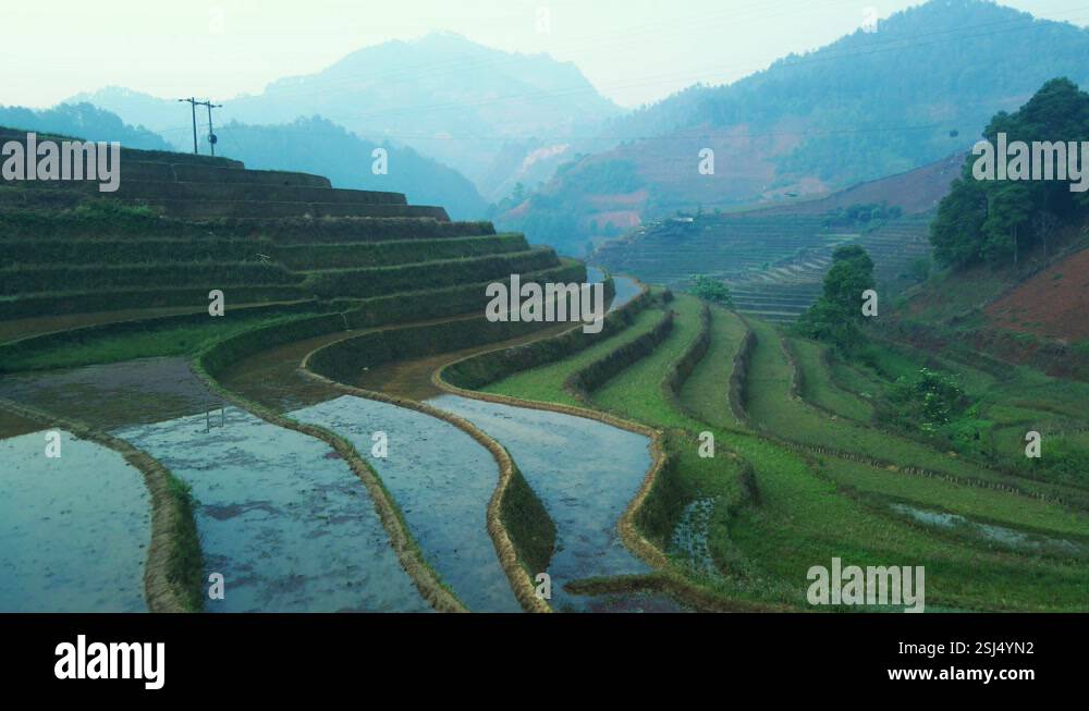 Rice terrace. Vietnamese landscape sliced into layers to form colorful ...