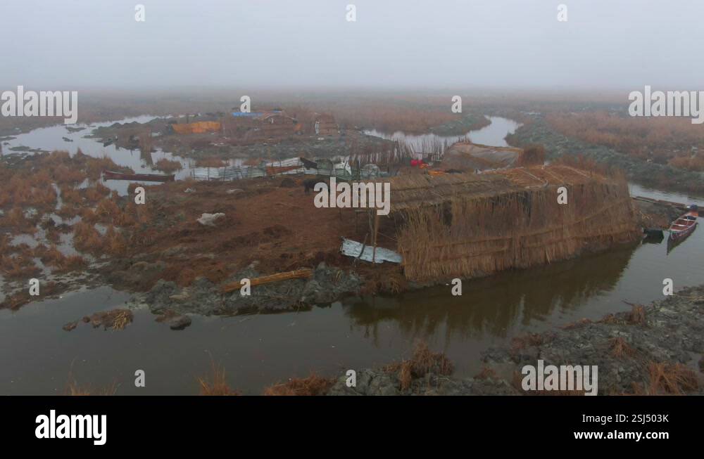 Wetland Cattle Farm in Marshland Region Surrounded by Swamps and Stock ...