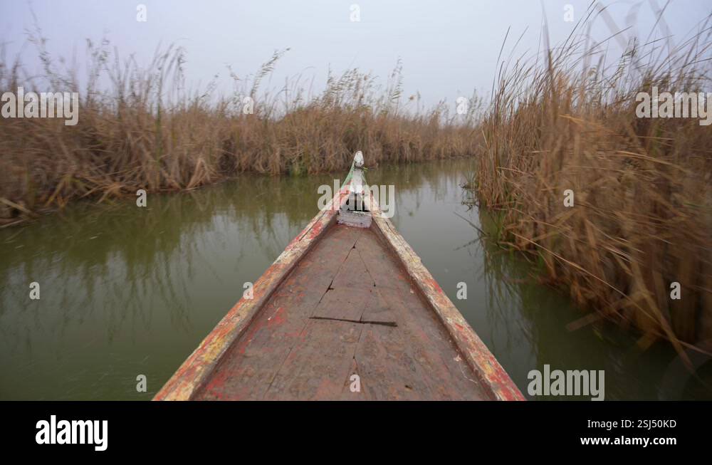 POV from front of mashoof canoe driving through Mesopotamian Marshes ...