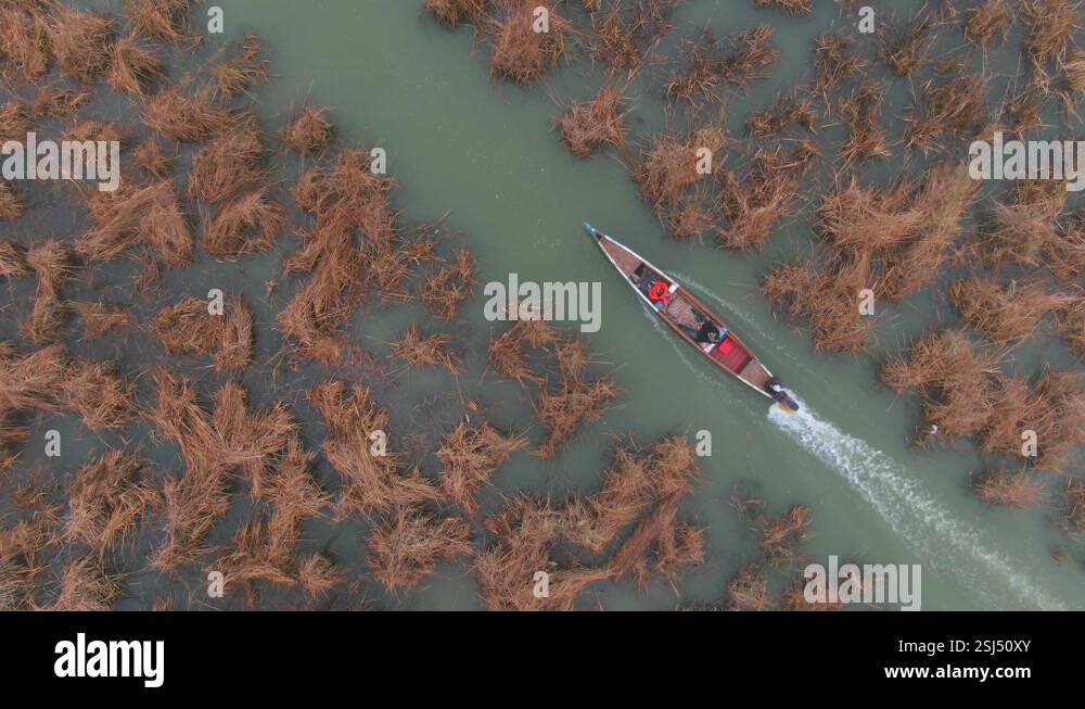 Static overhead aerial of motor powered mashoof canoe in Iraqi marshes ...