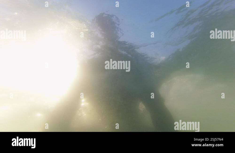 Beautiful shot from the water of a male surfer sitting on a surfboard ...
