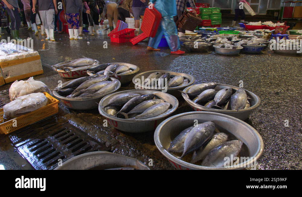 Fresh caught fish displayed for trading at Tho Quang fish market ...