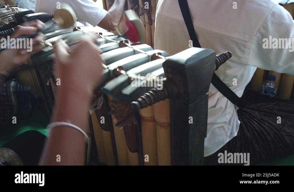 Gender instrument Stock Videos & Footage - HD and 4K Video Clips - Alamy