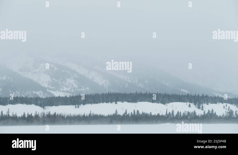 Snow and clouds blow around the lower forests of mountains in western ...