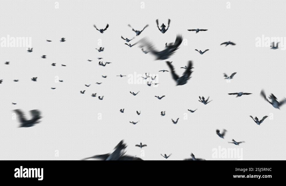 Bat, 3D Render, With Alpha Channel Stock Video Footage - Alamy