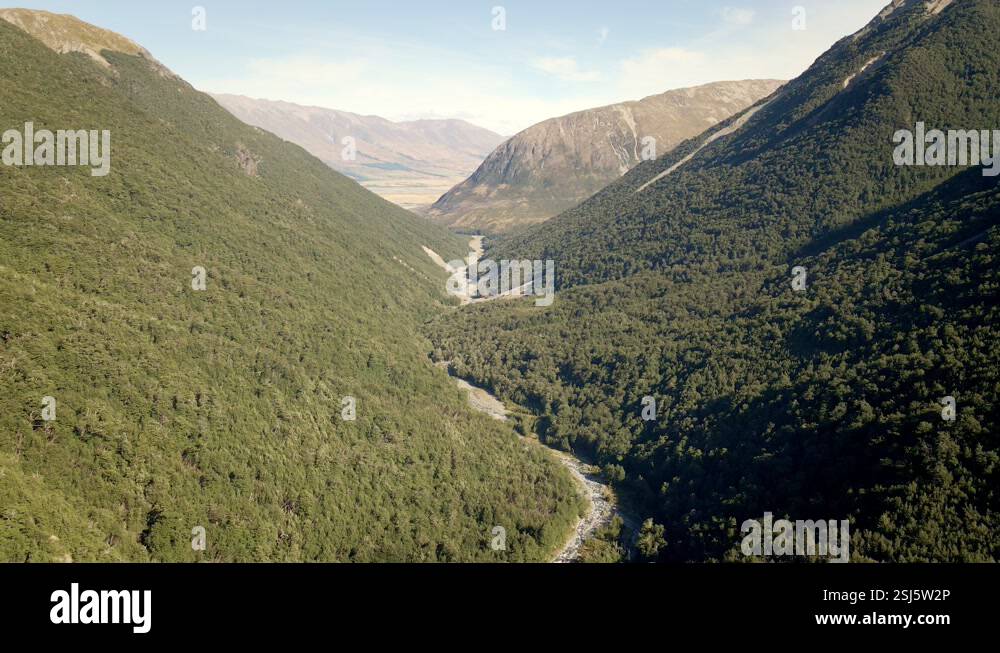 AERIAL - Creek meandering through a picturesque, forested canyon in ...