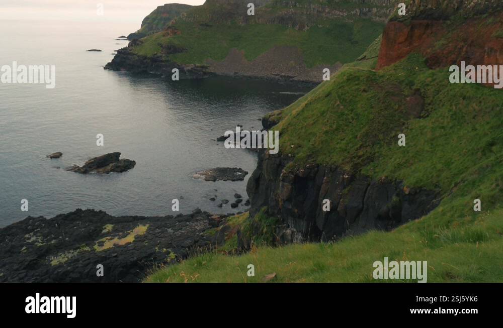 Tilting up, revealing breathtaking view of colorful and diverse ...