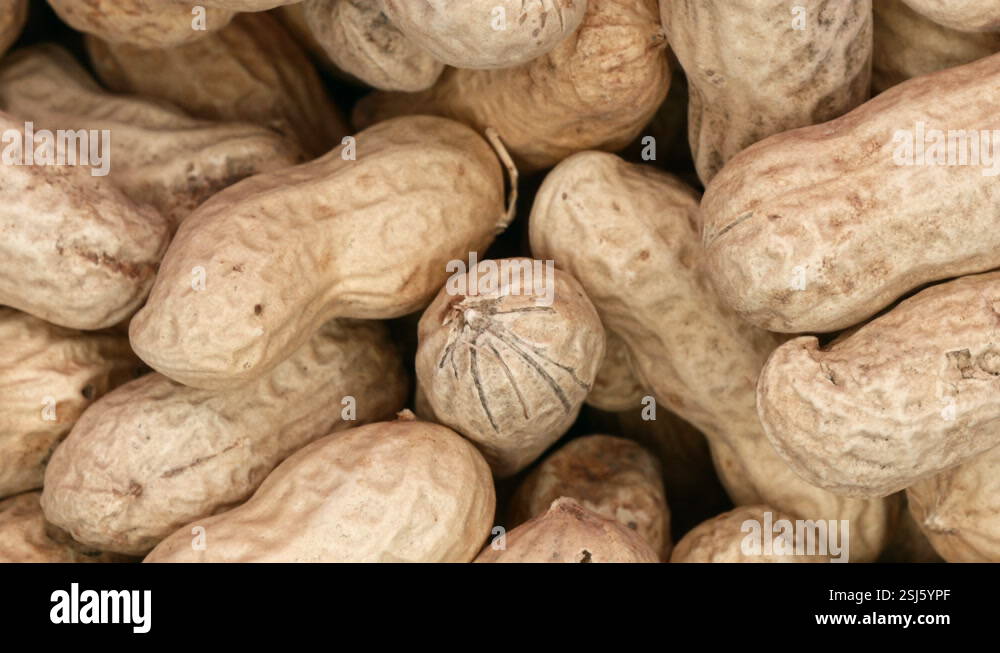 Raw Peanuts With Shells Rotating. Extreme Close Up. Macro. Top View. 4k ...