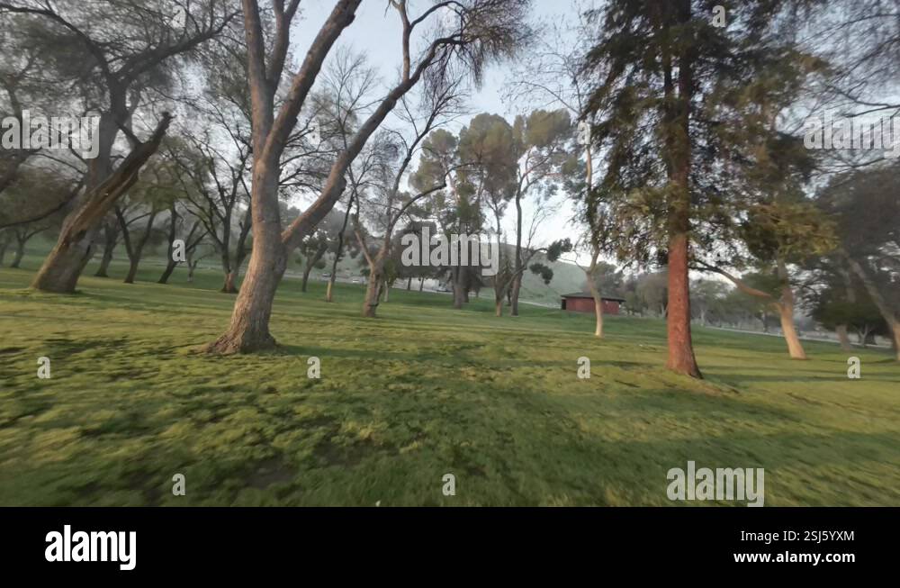 Flight between trees in a park in a first-person view drone Stock Video ...