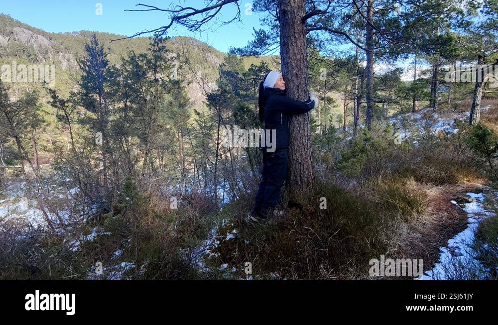 Young woman approaches and hugs pine tree out i Nature - Happy ...