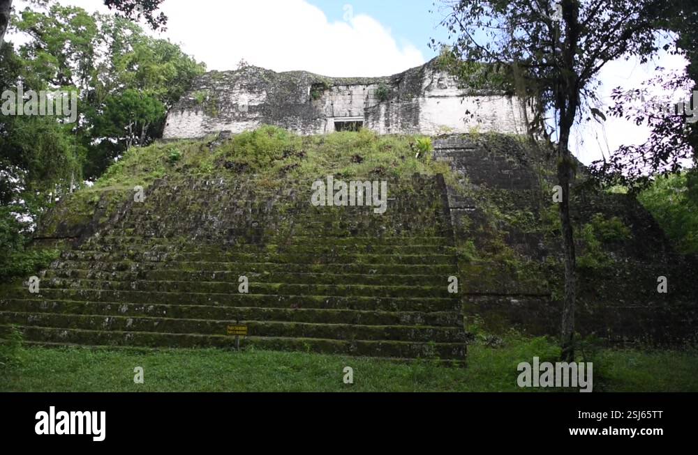 Tikal Pyramids in Guatemala Tikal National Park. Mayan Ruins, Temple ...