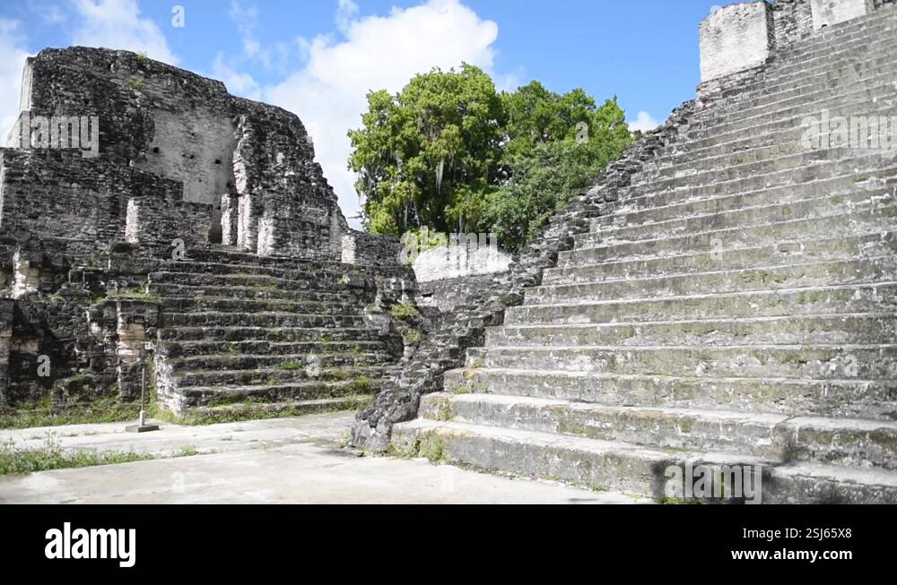 Tikal Pyramids in Guatemala Tikal National Park. Mayan Ruins, Temple ...