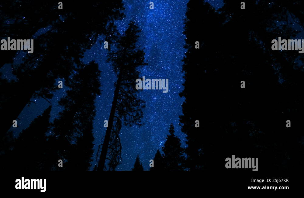 Sequoia National Park Perseid Meteor Shower and Milky Way Galaxy Rise in North Stock Video ...