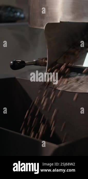 Vertical close-up shot of freshly roasted coffee beans cascading from ...