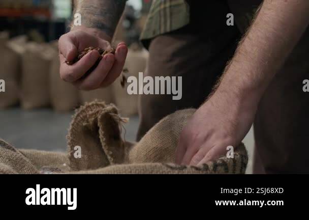 Slow motion close-up shot of unrecognizable professional roaster with ...