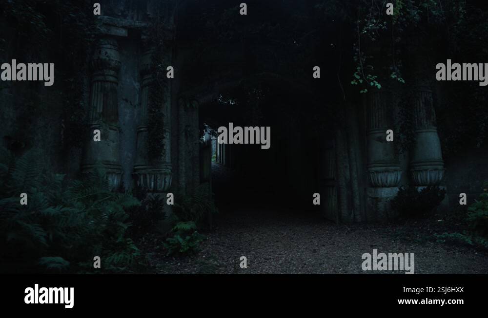 Gothic crypt Stock Videos & Footage - HD and 4K Video Clips - Alamy