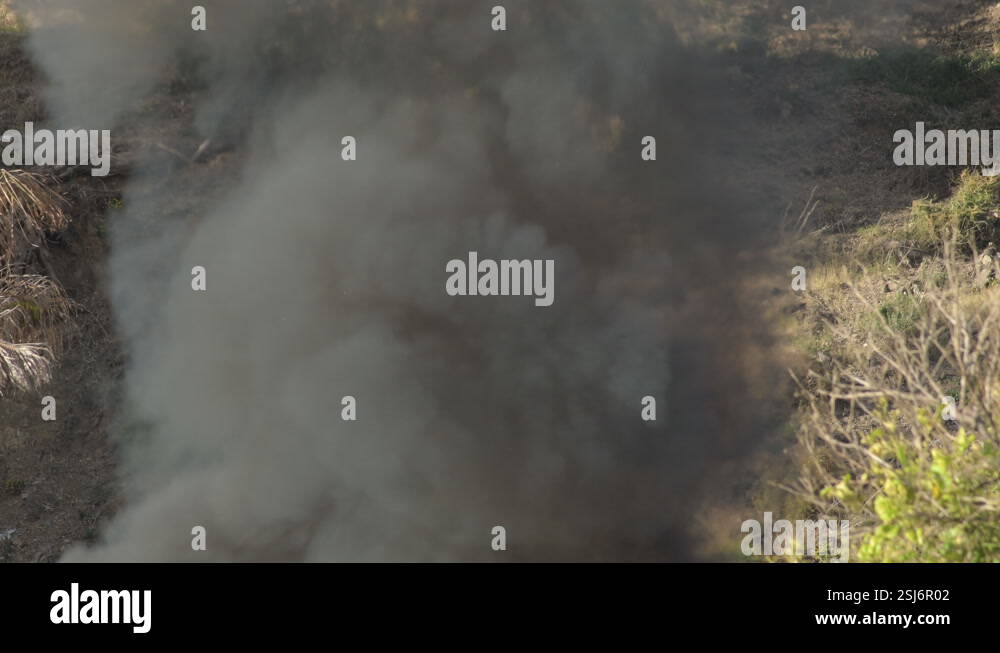 Thick black smoke column and blazes going up in a real fire Stock Video ...