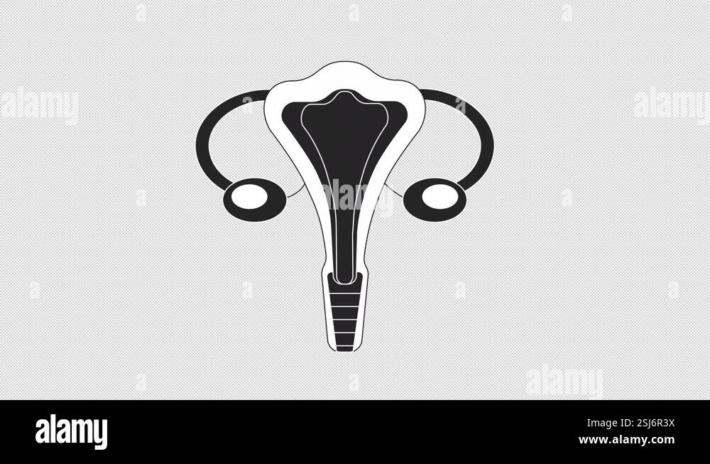 Animated bw reproductive system Stock Video Footage - Alamy