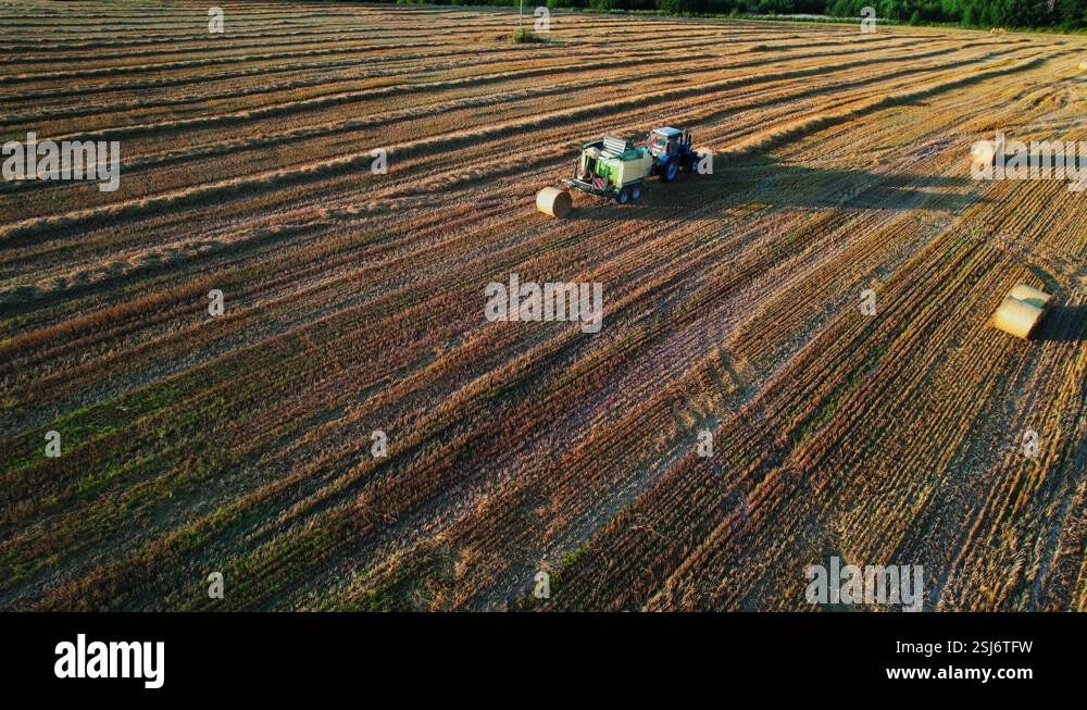 Agriculture tractor making hay bales works on the field. Aerial view of ...