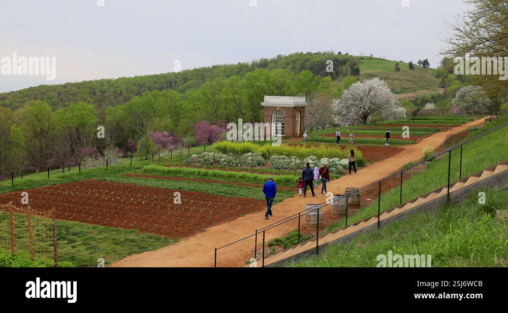 Colonial historic vegetable garden plantation Virginia family 4K Stock ...