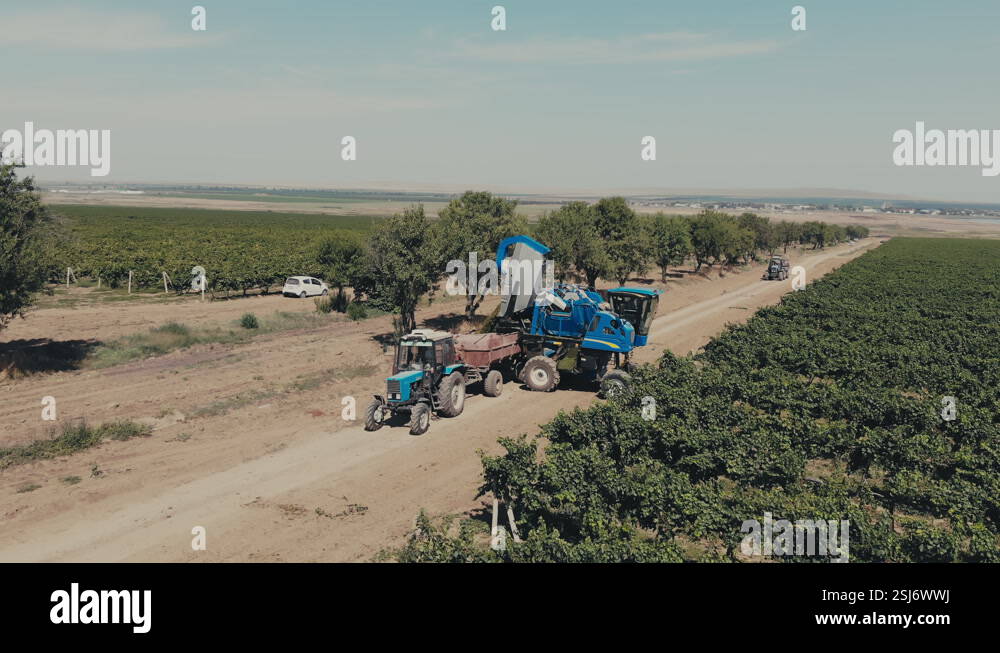 Using tractor equipment for transportation of crops at the countryside ...
