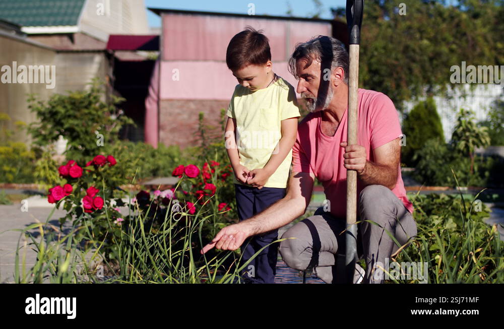 Grandfather with shovel in hand shows and explains to grandson how to ...