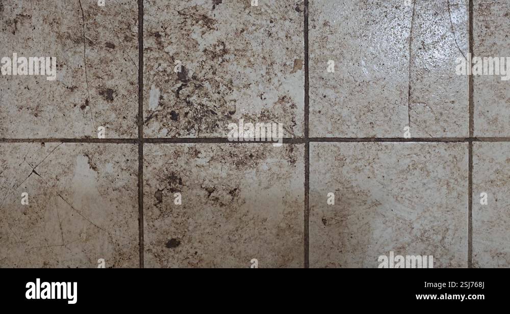 extremely dirty and filthy tile floor wiped and scrubbed clean by hand ...